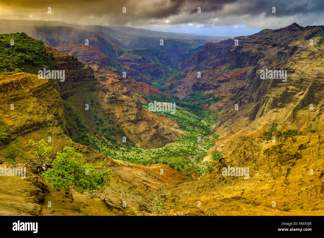 Waimea Canyon State Park, Kauai Stock Photo - Alamy