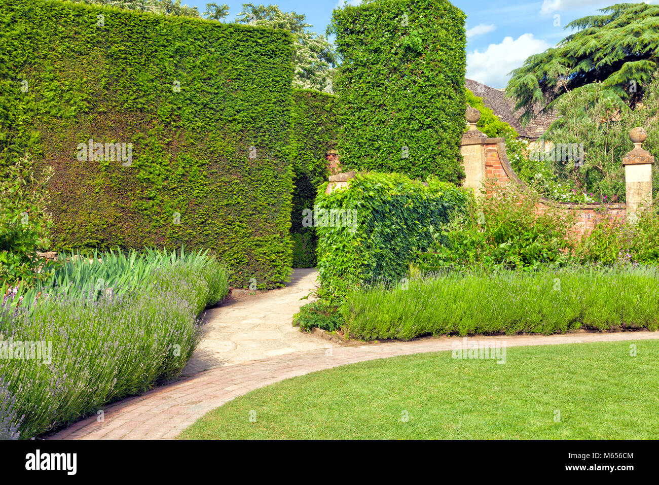 Landscaped garden with narrow passage path through trimmed hedge ...