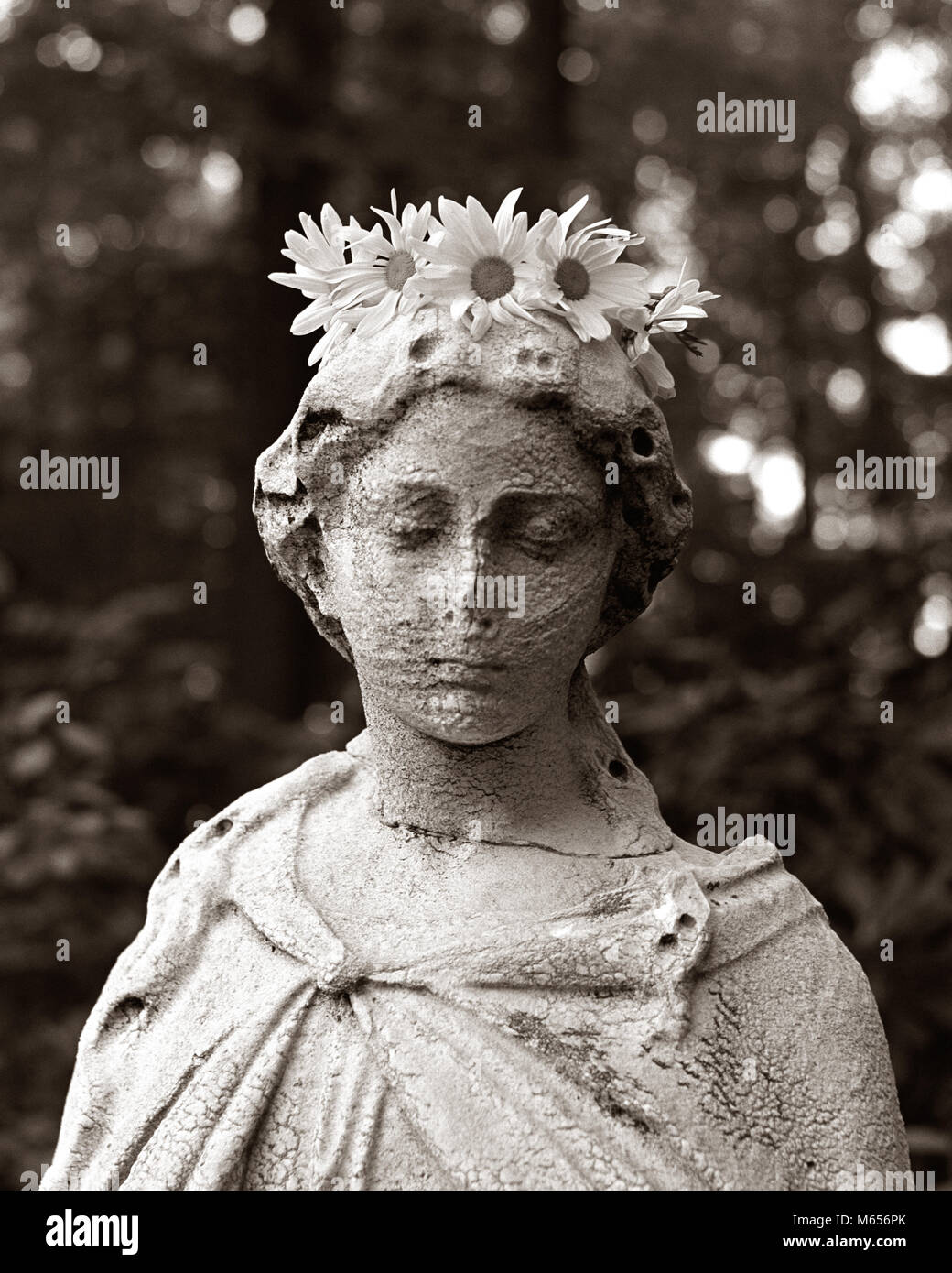 Greco roman female portrait hi-res stock photography and images - Alamy