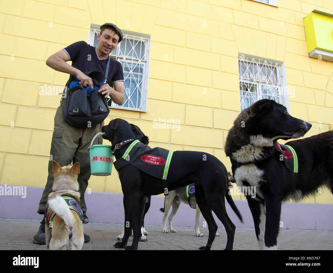Master shelter hi-res stock photography and images - Alamy