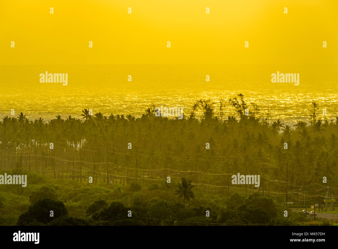 Coconut coast on Kauai, Hawaii Stock Photo - Alamy