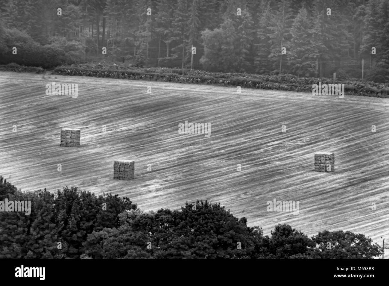 Field work Black and White Stock Photos & Images - Alamy