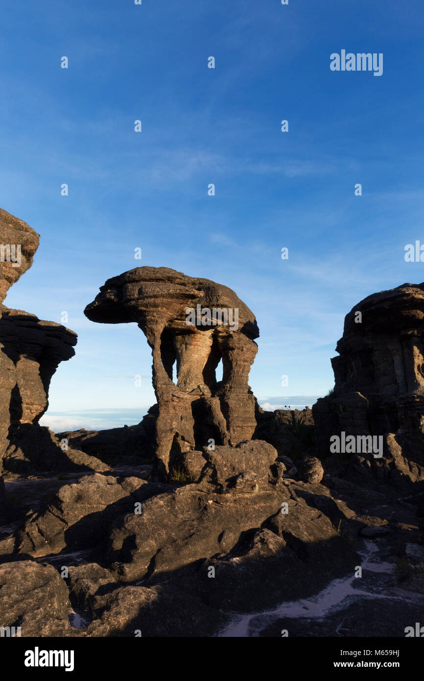 Rock formations, Mount Roraima, Canaima National Park Stock Photo - Alamy