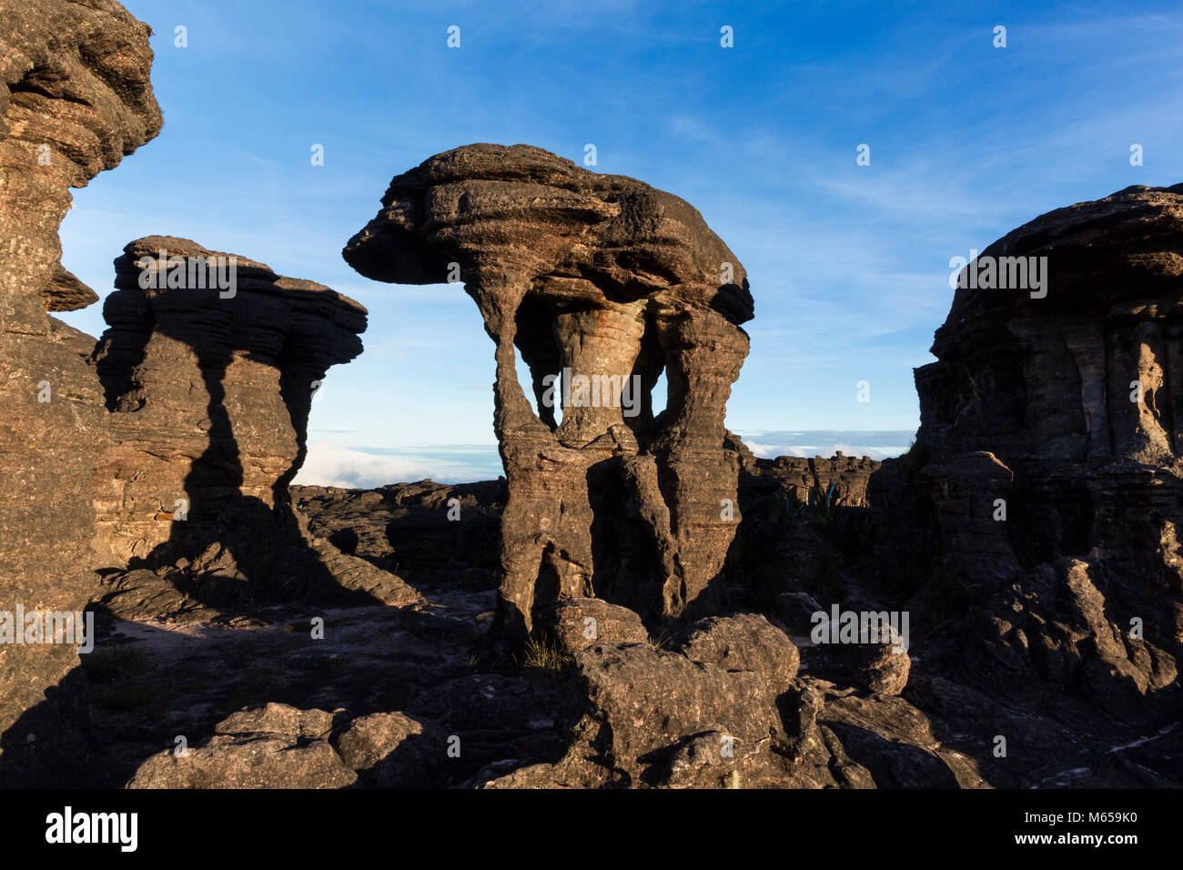 Rock formations, Mount Roraima, Canaima National Park Stock Photo - Alamy