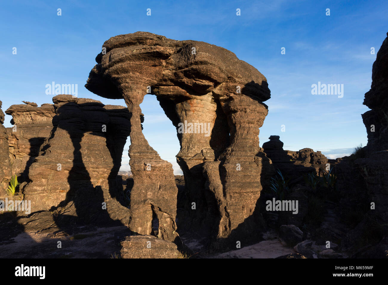 Rock formations, Mount Roraima, Canaima National Park Stock Photo - Alamy
