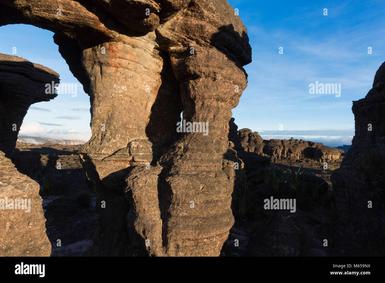 Rock formations, Mount Roraima, Canaima National Park Stock Photo - Alamy