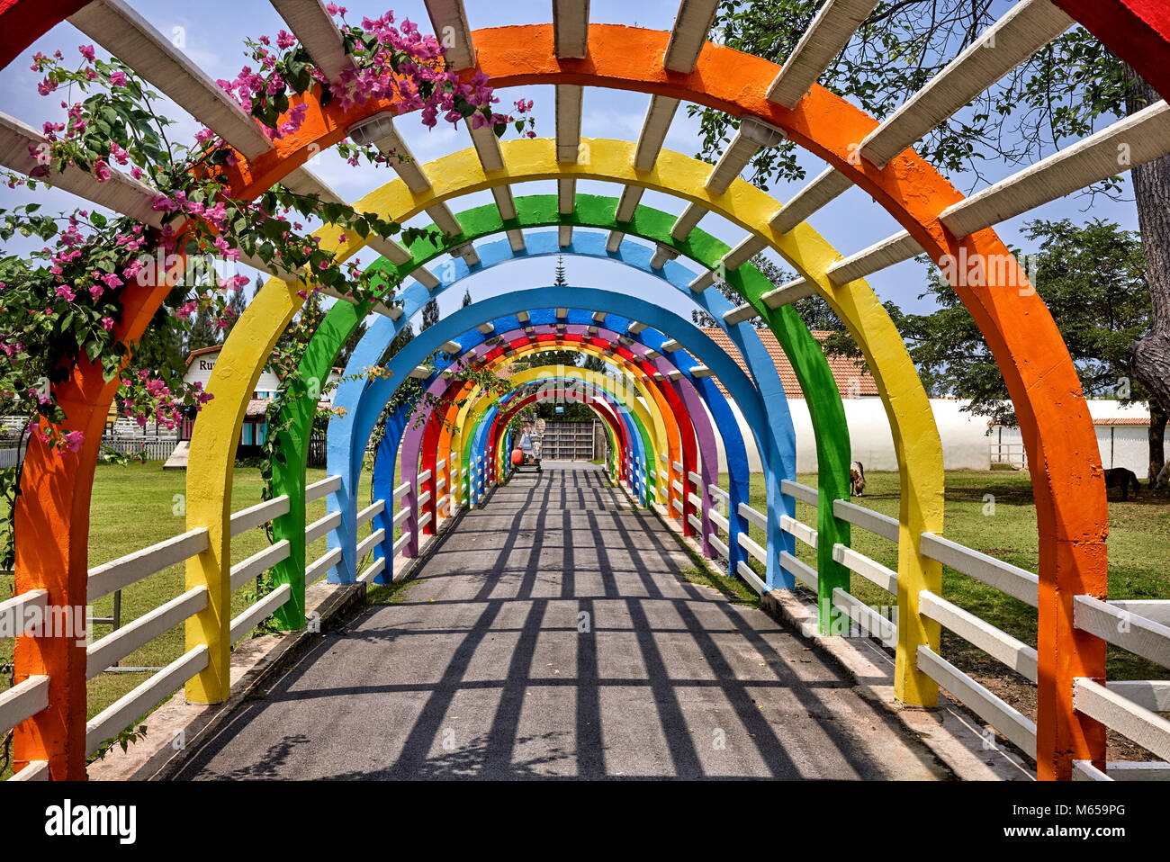 Colors of the rainbow. Multi coloured archway. Rainbow coloured arch ...