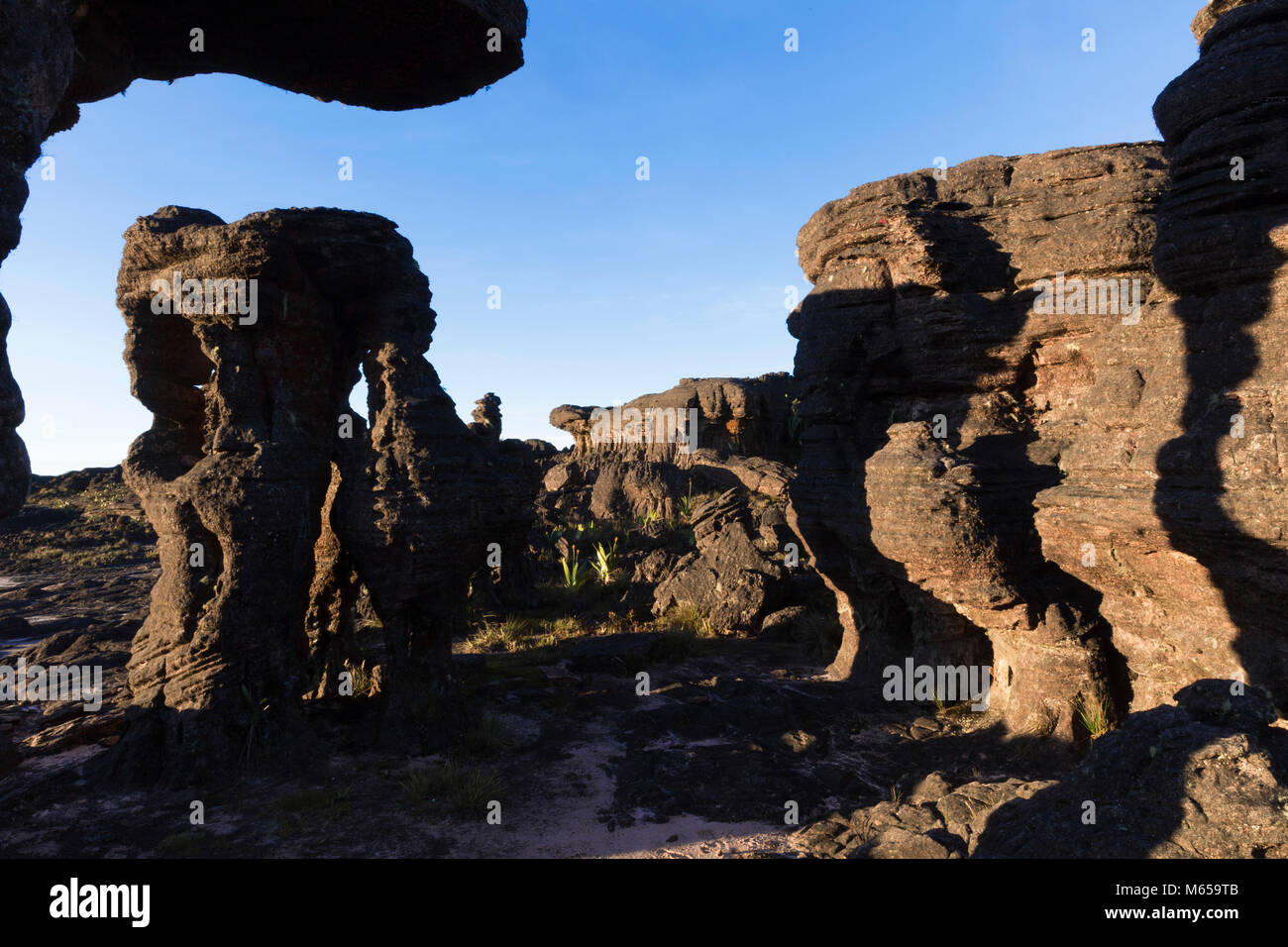 Rock formations, Mount Roraima, Canaima National Park Stock Photo - Alamy
