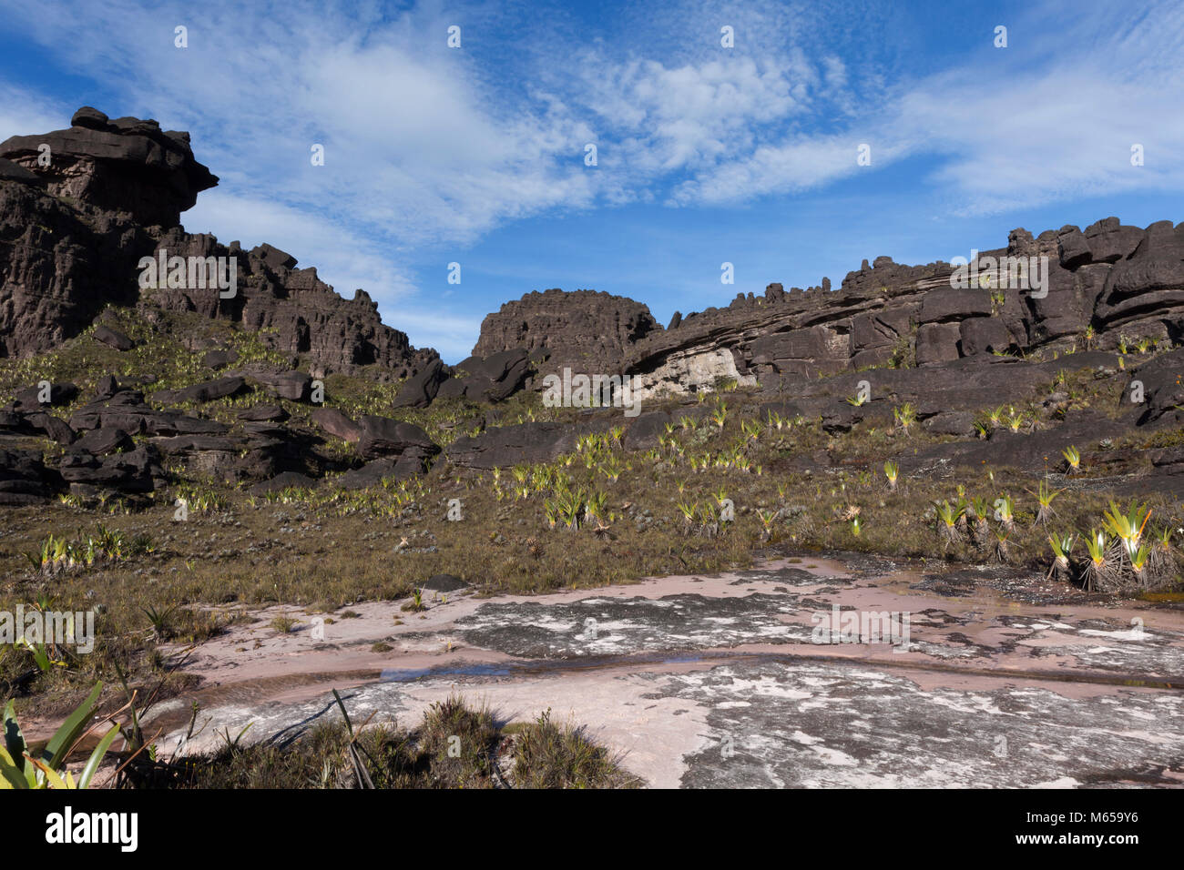 Rock formations, Mount Roraima, Canaima National Park Stock Photo - Alamy