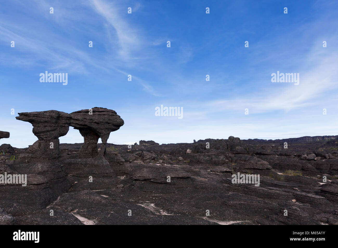 Rock formations, Mount Roraima, Canaima National Park Stock Photo - Alamy