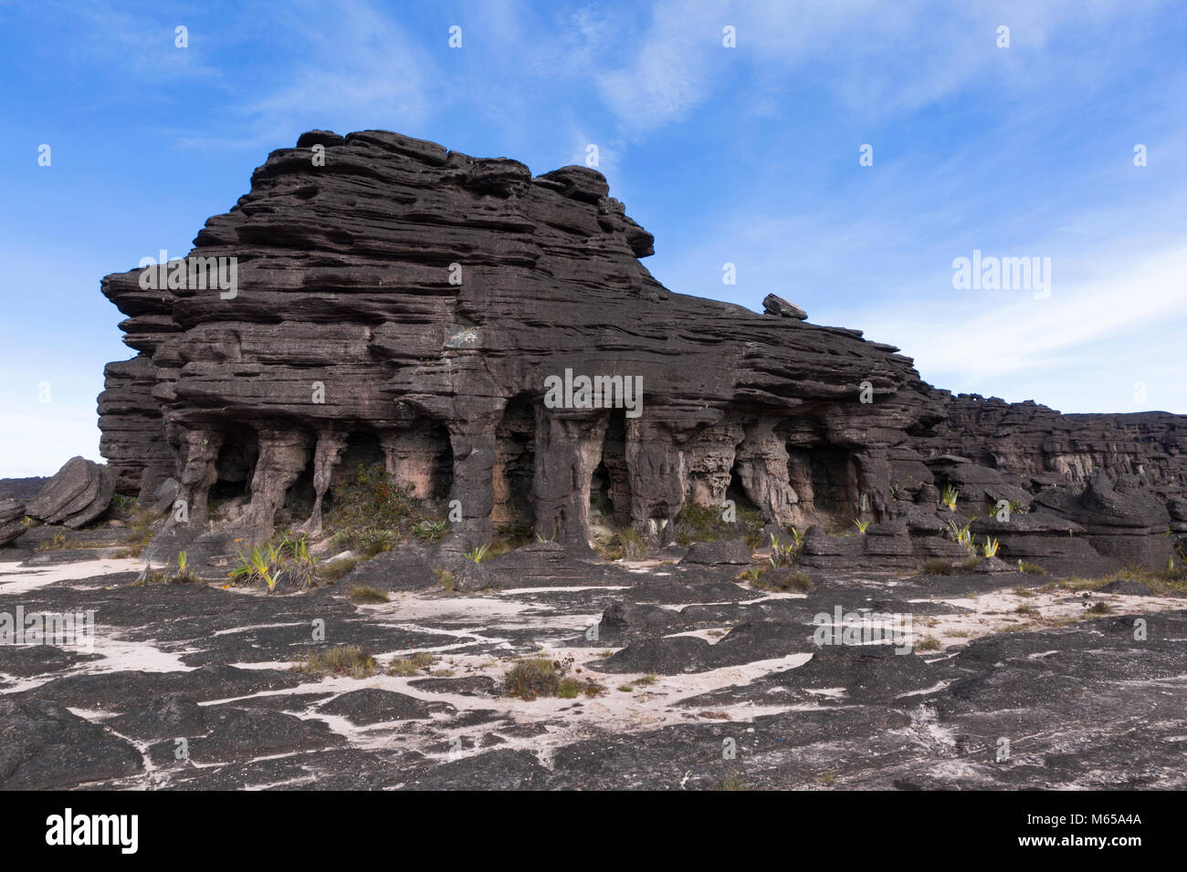 Rock formations, Mount Roraima, Canaima National Park Stock Photo - Alamy