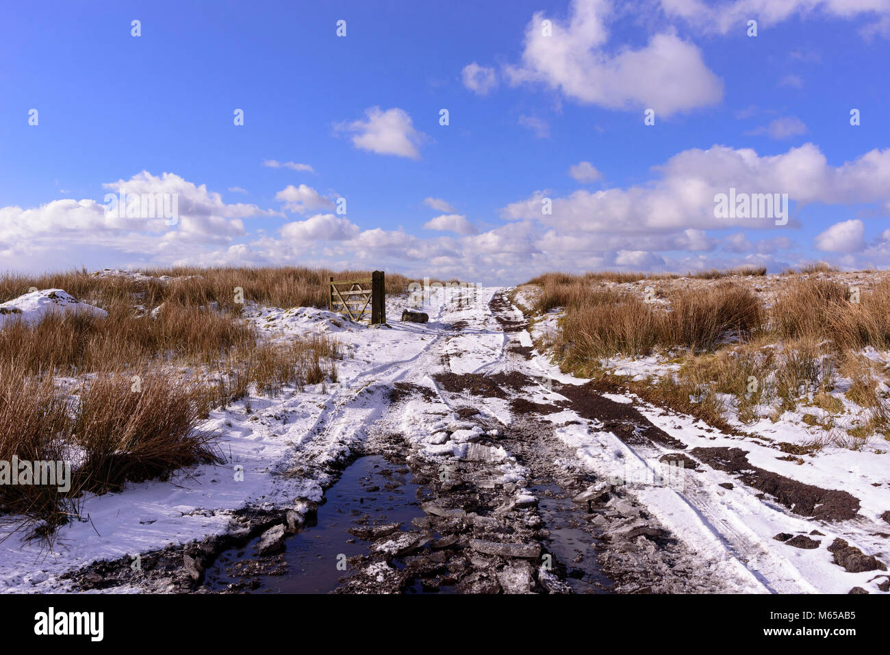Day of winter hi-res stock photography and images - Alamy
