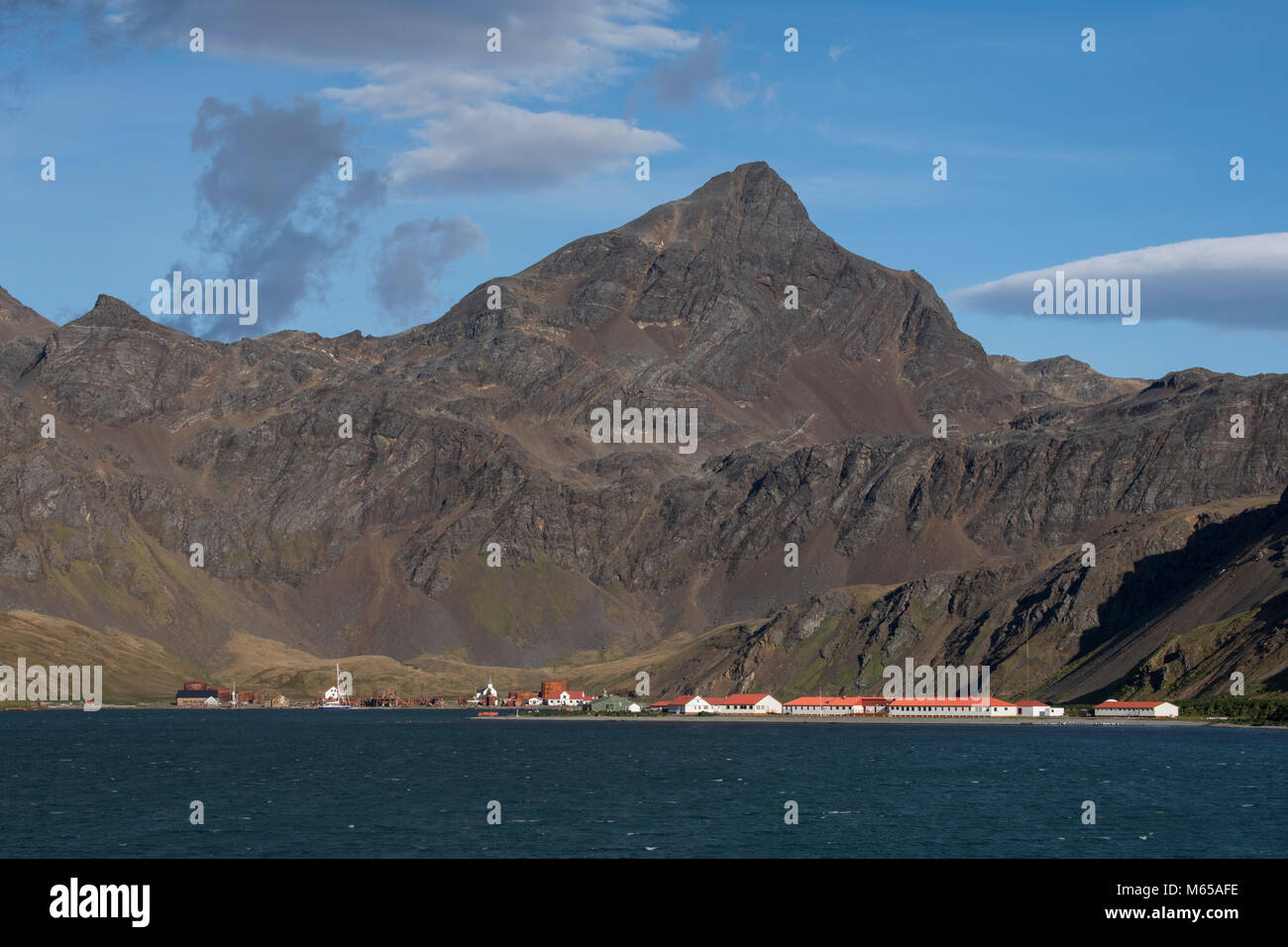 British territory, South Georgia, King Edward Cove. Ocean view of the ...