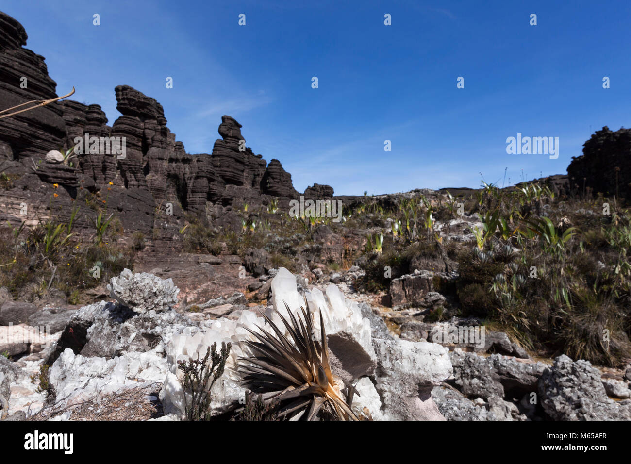 Crystal Valley, Mount Roraima, Canaima National Park Stock Photo - Alamy