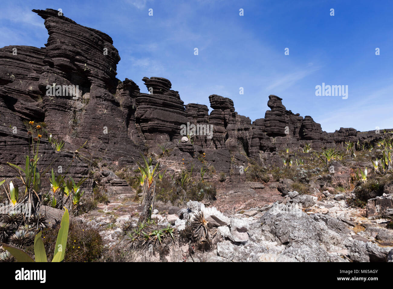 Crystal Valley, Mount Roraima, Canaima National Park Stock Photo - Alamy