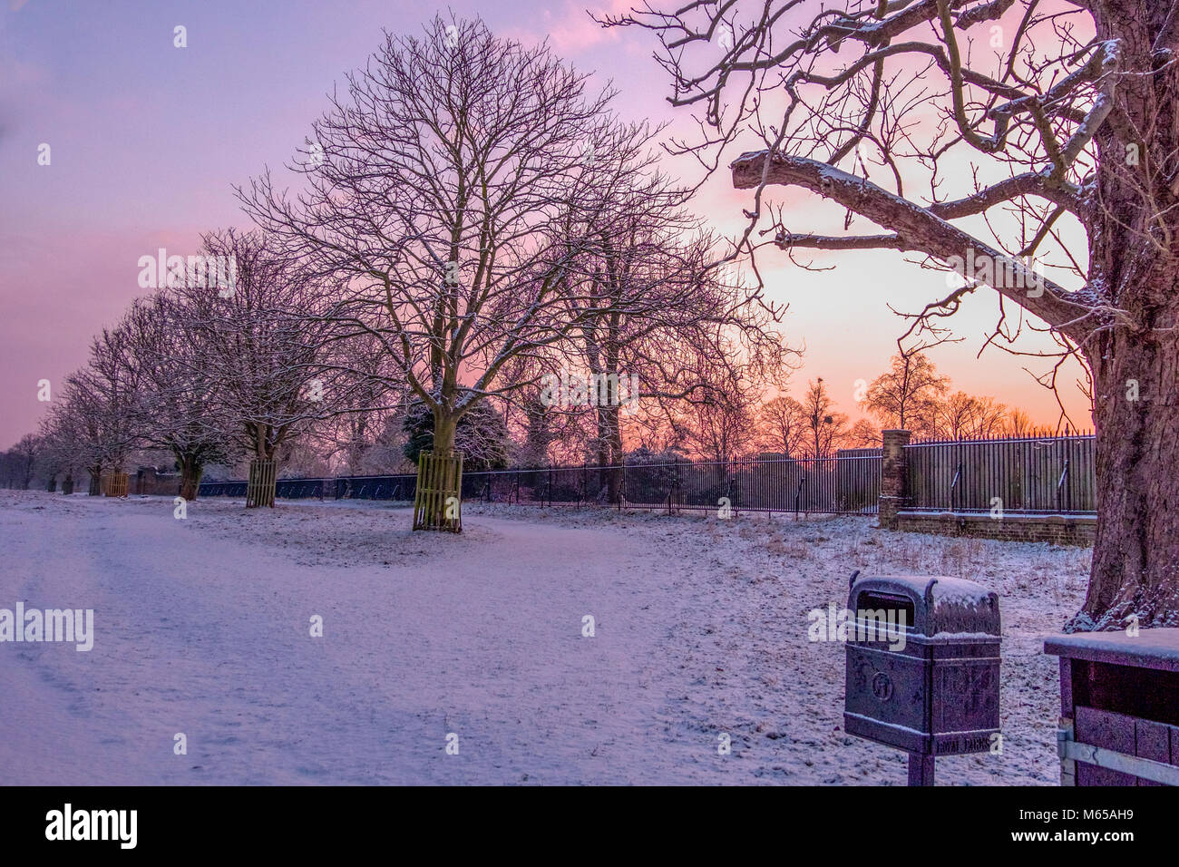 snowy dawn in bushy park England surrey Stock Photo - Alamy