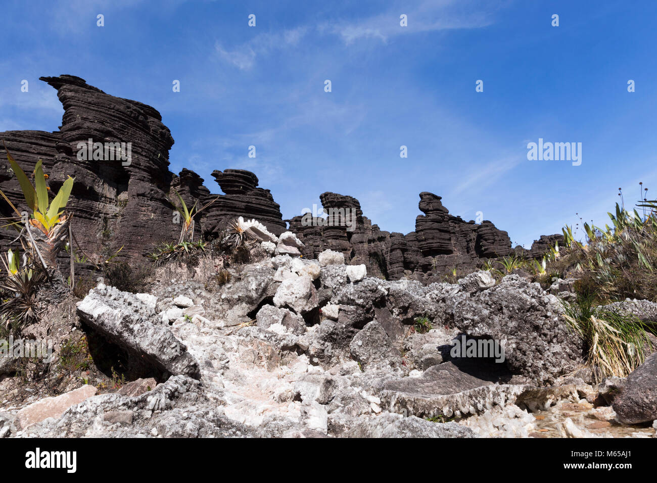 Crystal Valley, Mount Roraima, Canaima National Park Stock Photo - Alamy