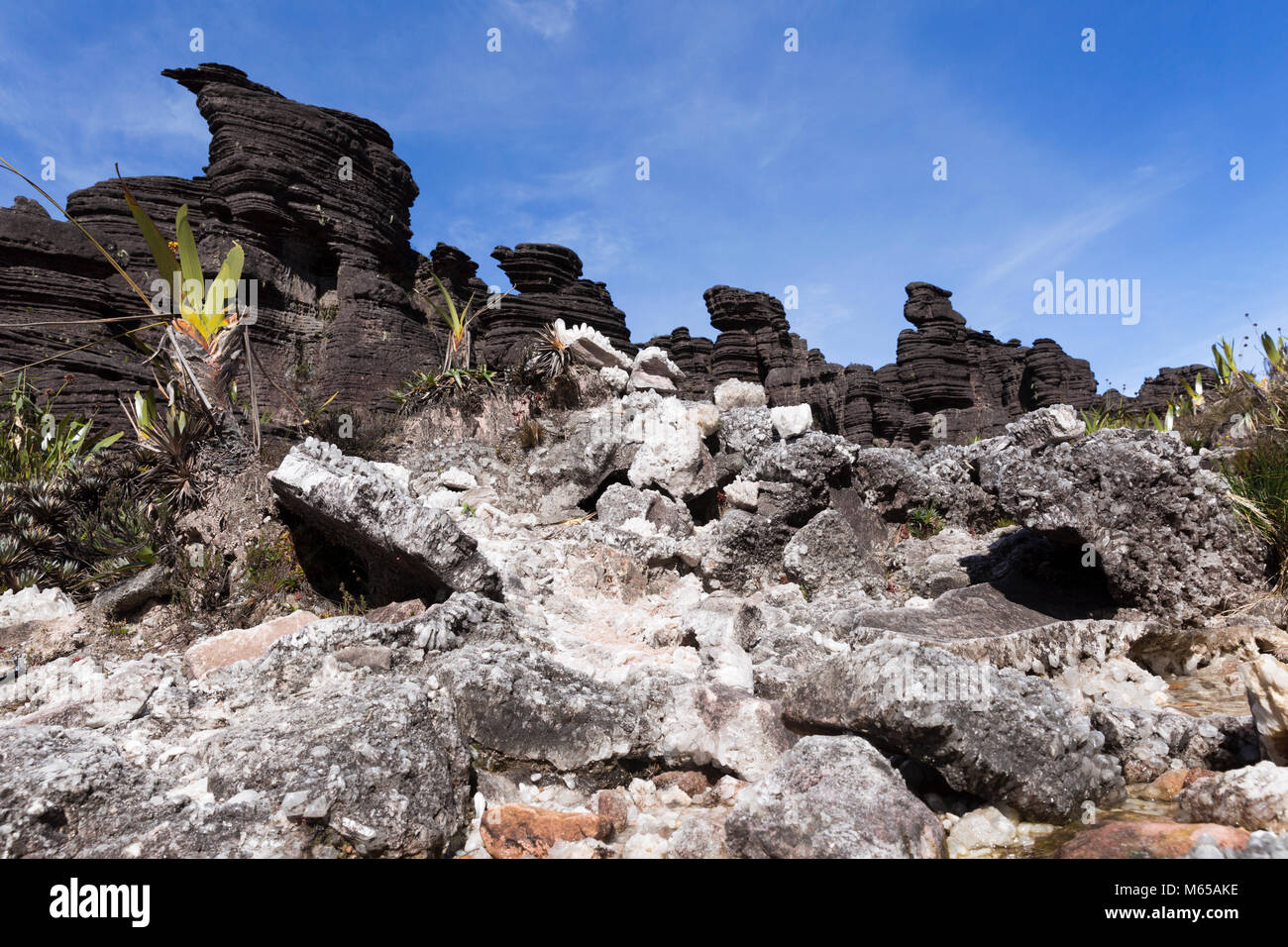 Crystal Valley, Mount Roraima, Canaima National Park Stock Photo - Alamy