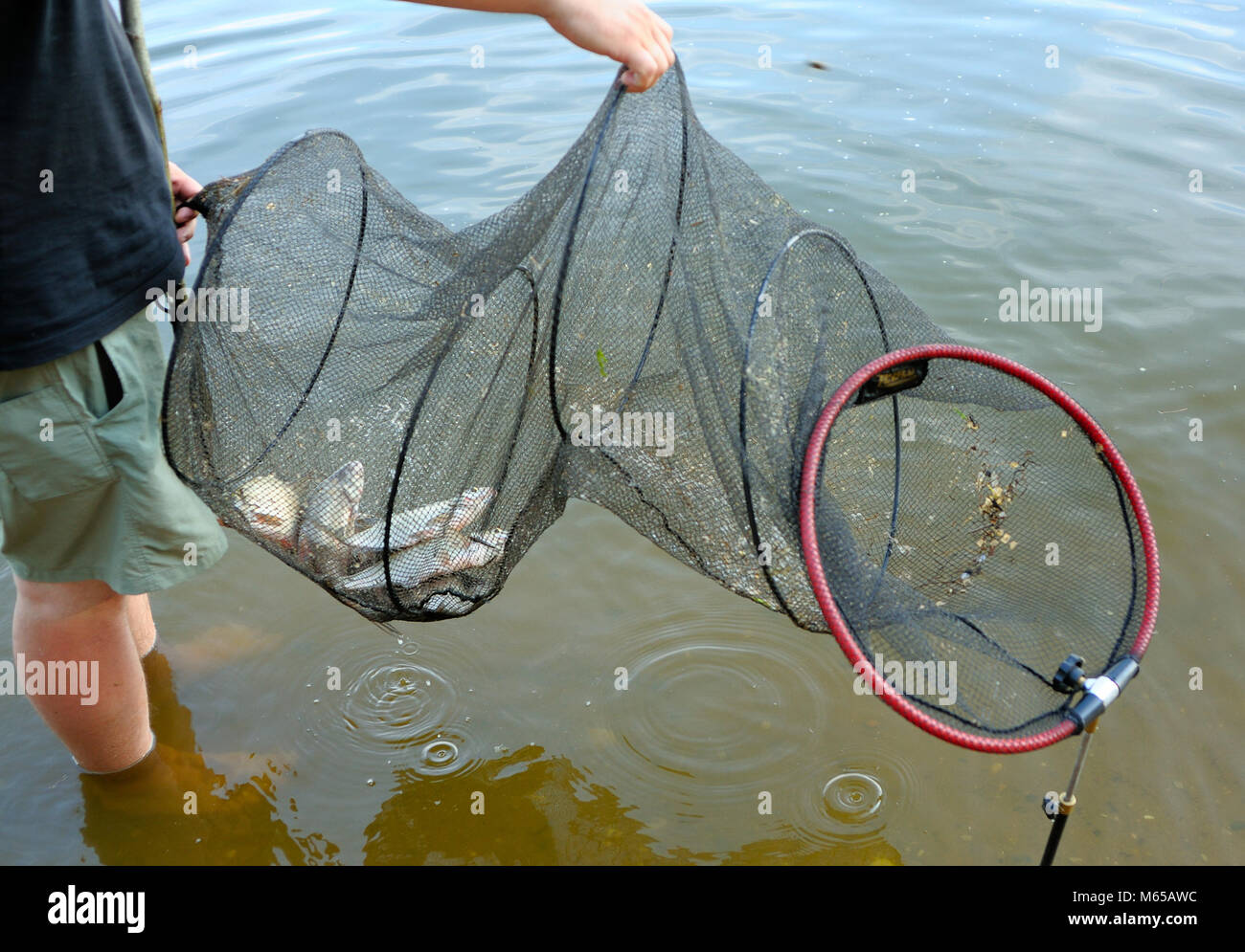 The fisherman holds a grid with fish Stock Photo - Alamy