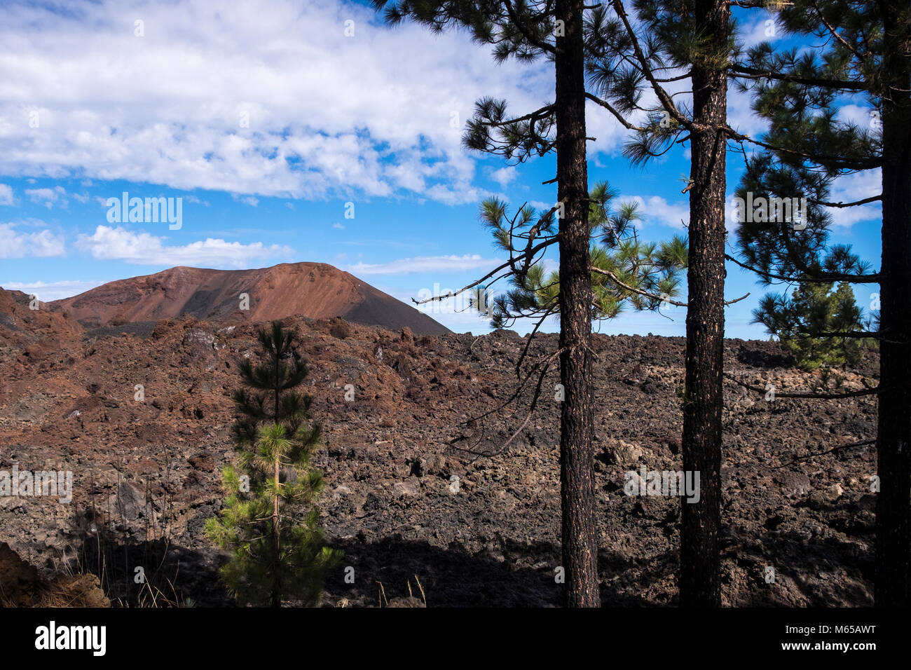 Chinyero volcano, site of the last volcanic eruption on Tenerife ...
