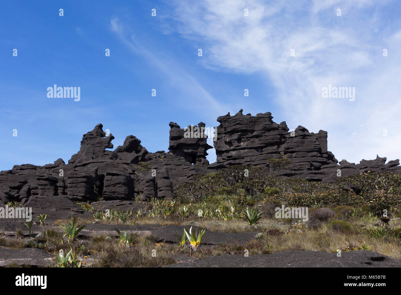 Rock formations, Mount Roraima, Canaima National Park Stock Photo - Alamy