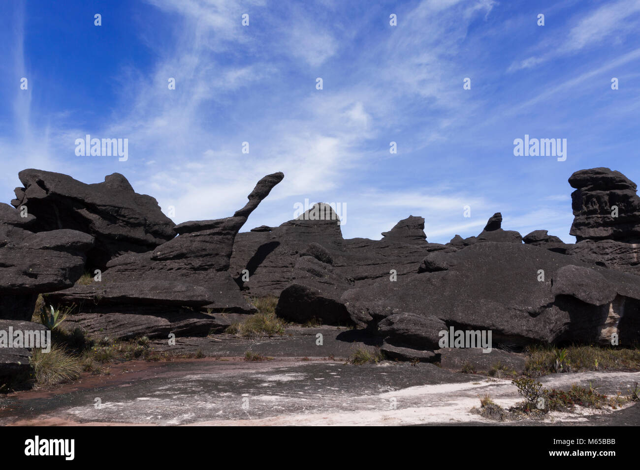 Rock formations, Mount Roraima, Canaima National Park Stock Photo - Alamy