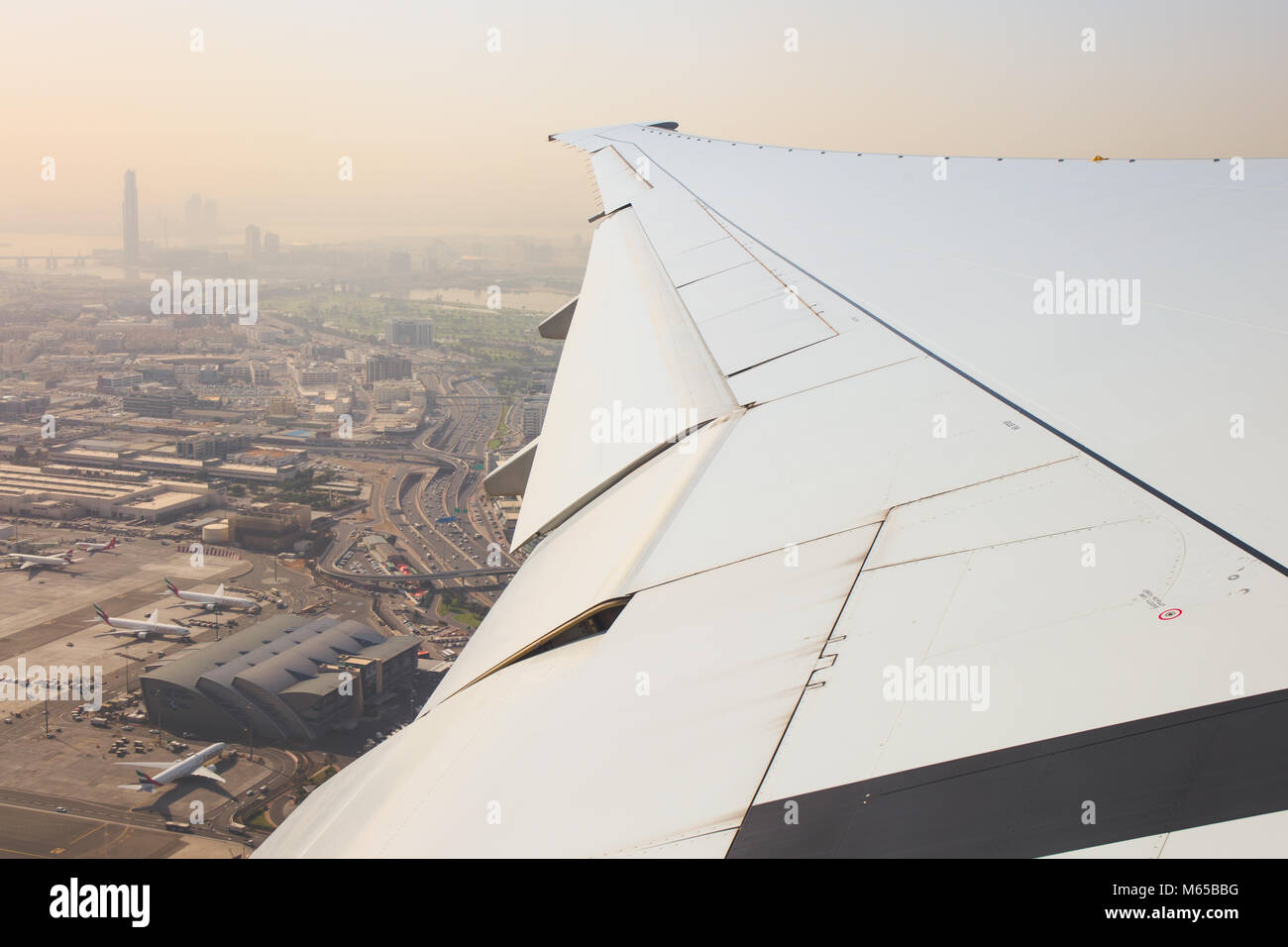 Vector wing hi-res stock photography and images - Alamy