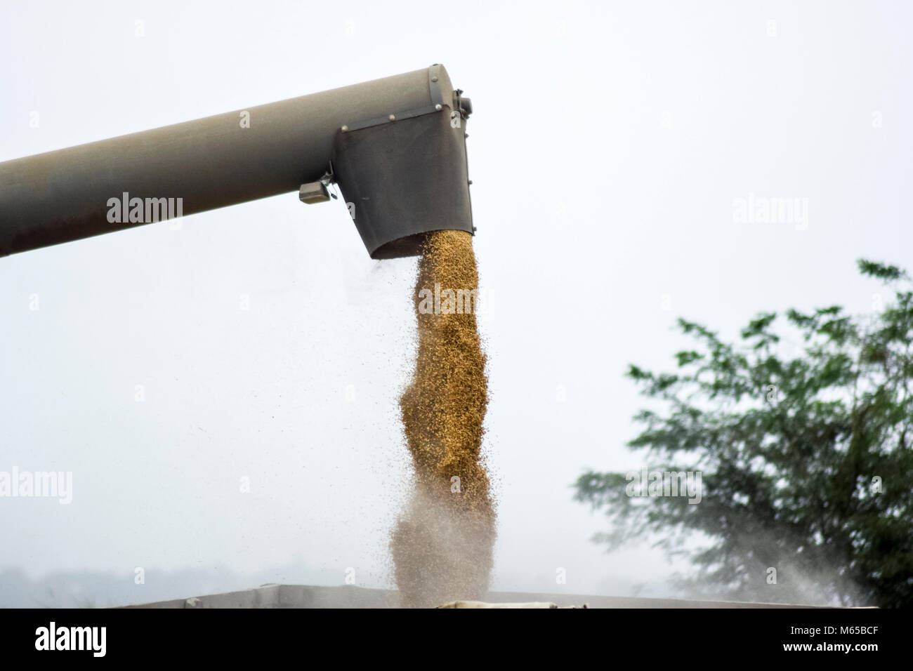 Chaff unloading hi-res stock photography and images - Alamy
