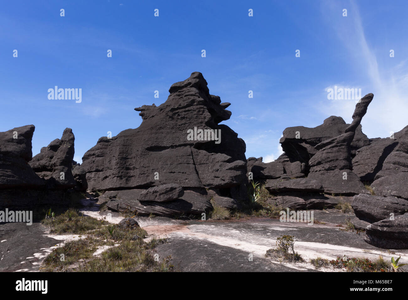 Rock formations, Mount Roraima, Canaima National Park Stock Photo - Alamy