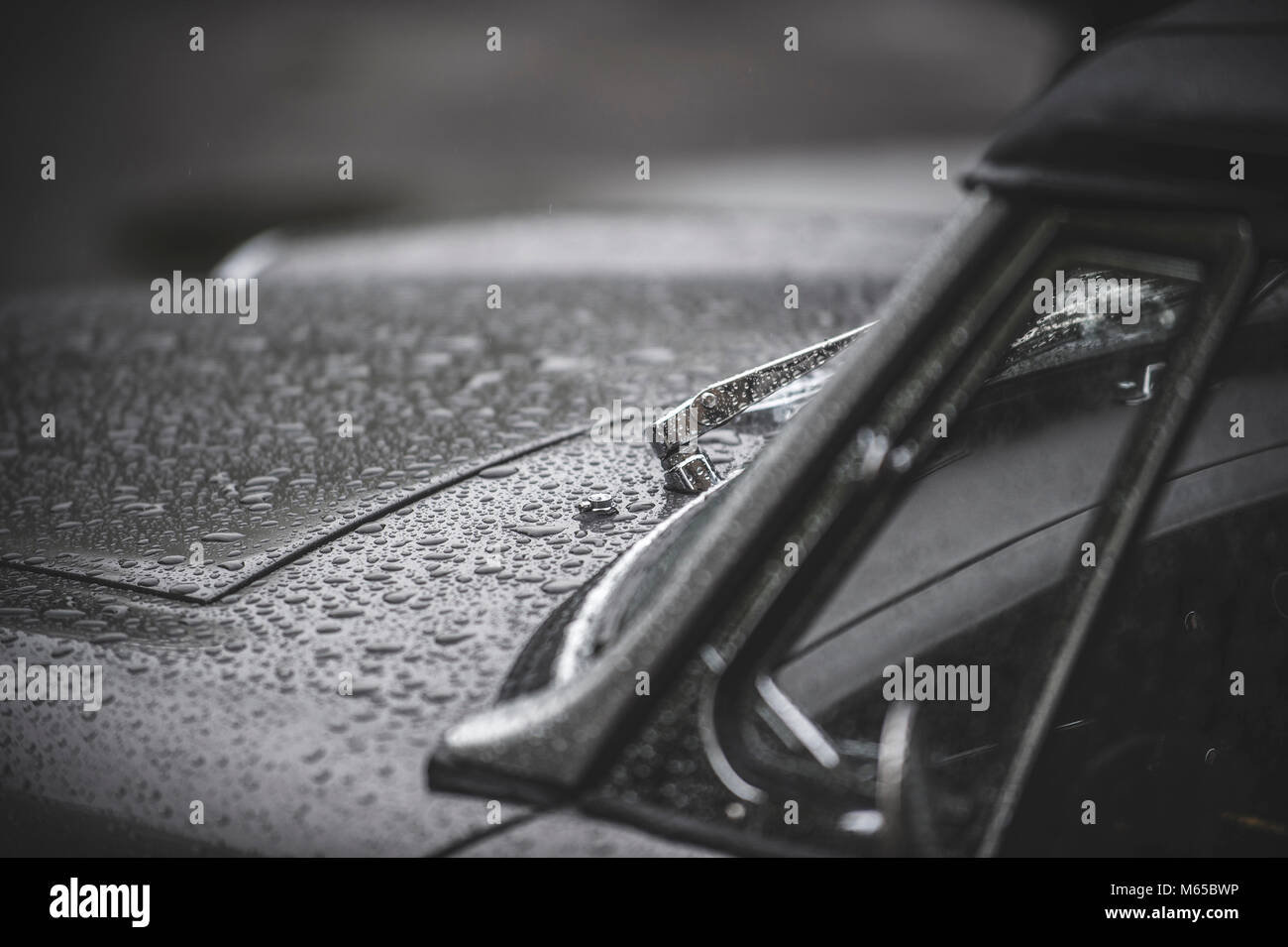 Rainy day driving Stock Photo - Alamy