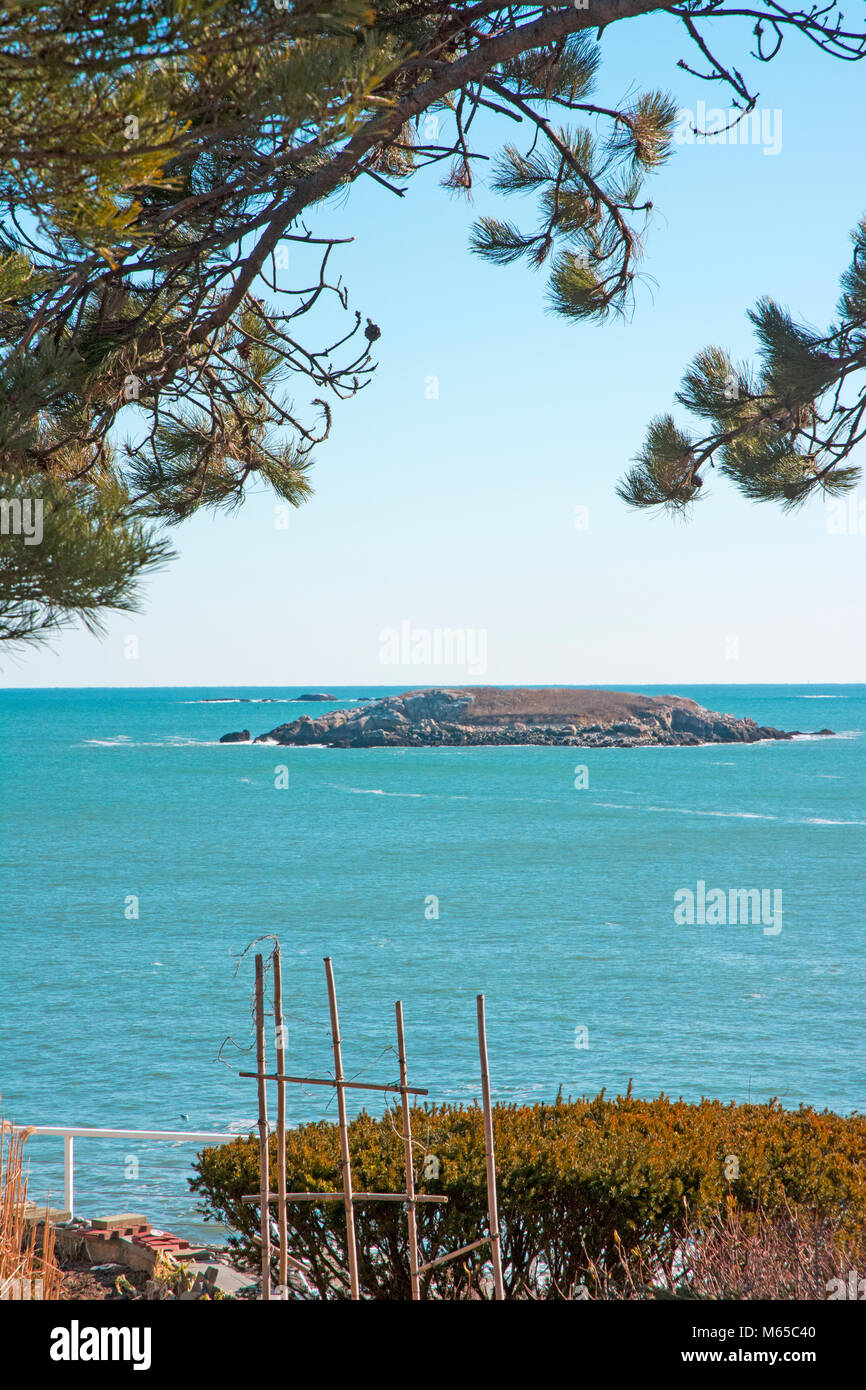 Shoreline pathway hi-res stock photography and images - Alamy