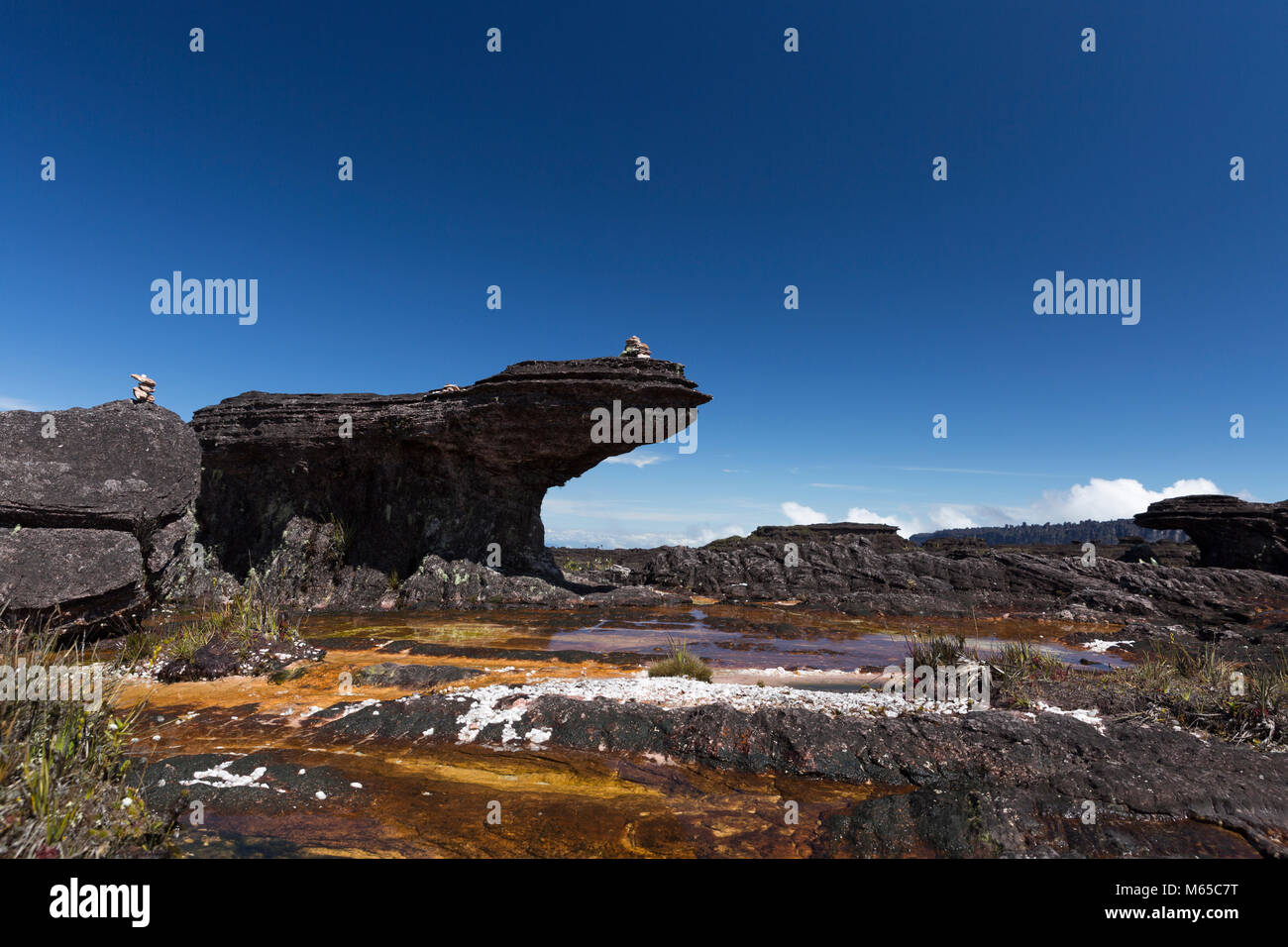 Jacuzzis, little water pools. Mount Roraima, Canaima National Park ...