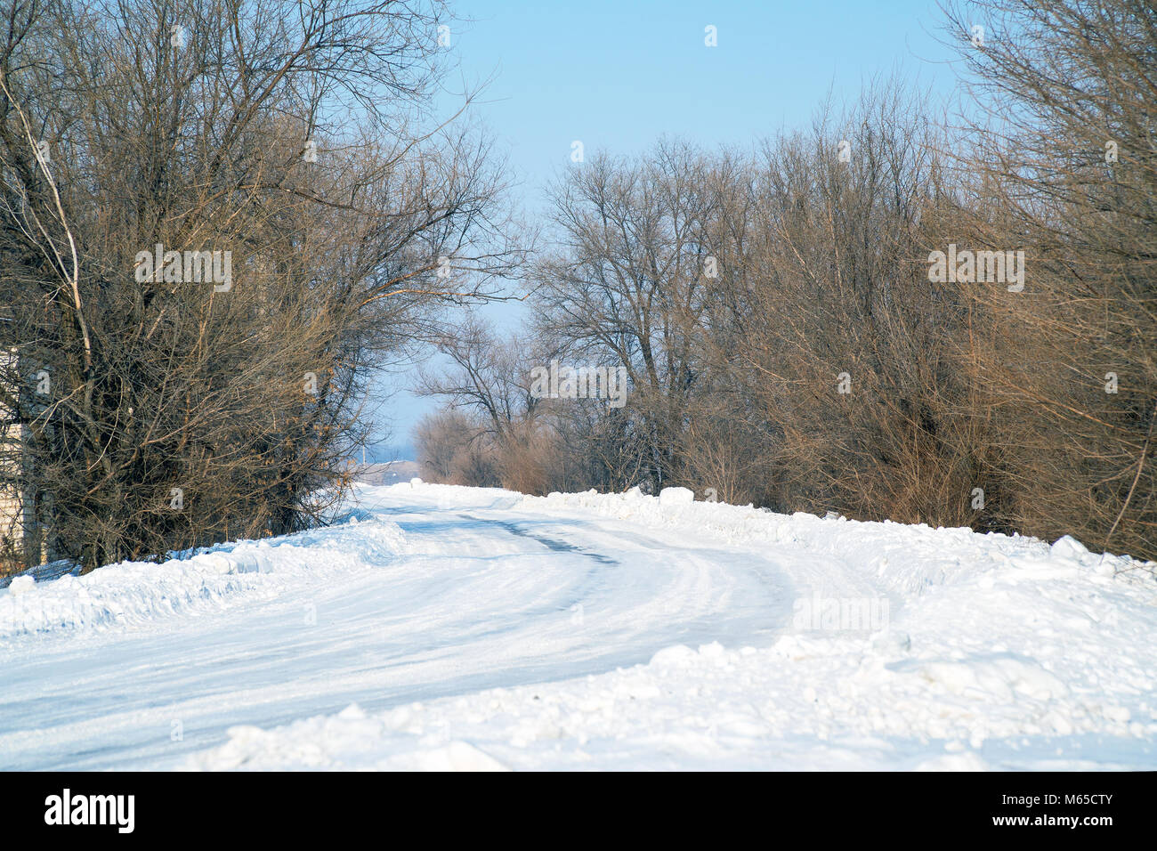 Winter snow-covered road with trees at the edges. Winter landscape ...