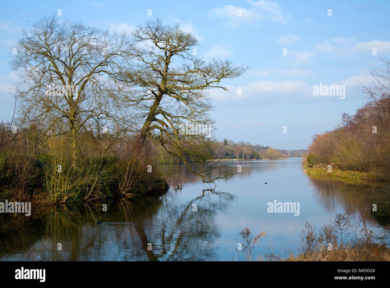Clumber park view hi-res stock photography and images - Alamy