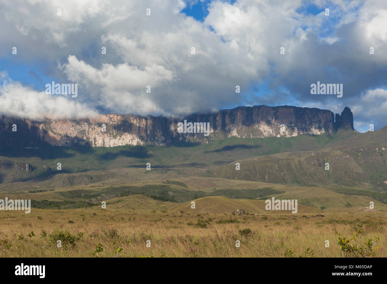 Mount Roraima, Canaima National Park Stock Photo - Alamy