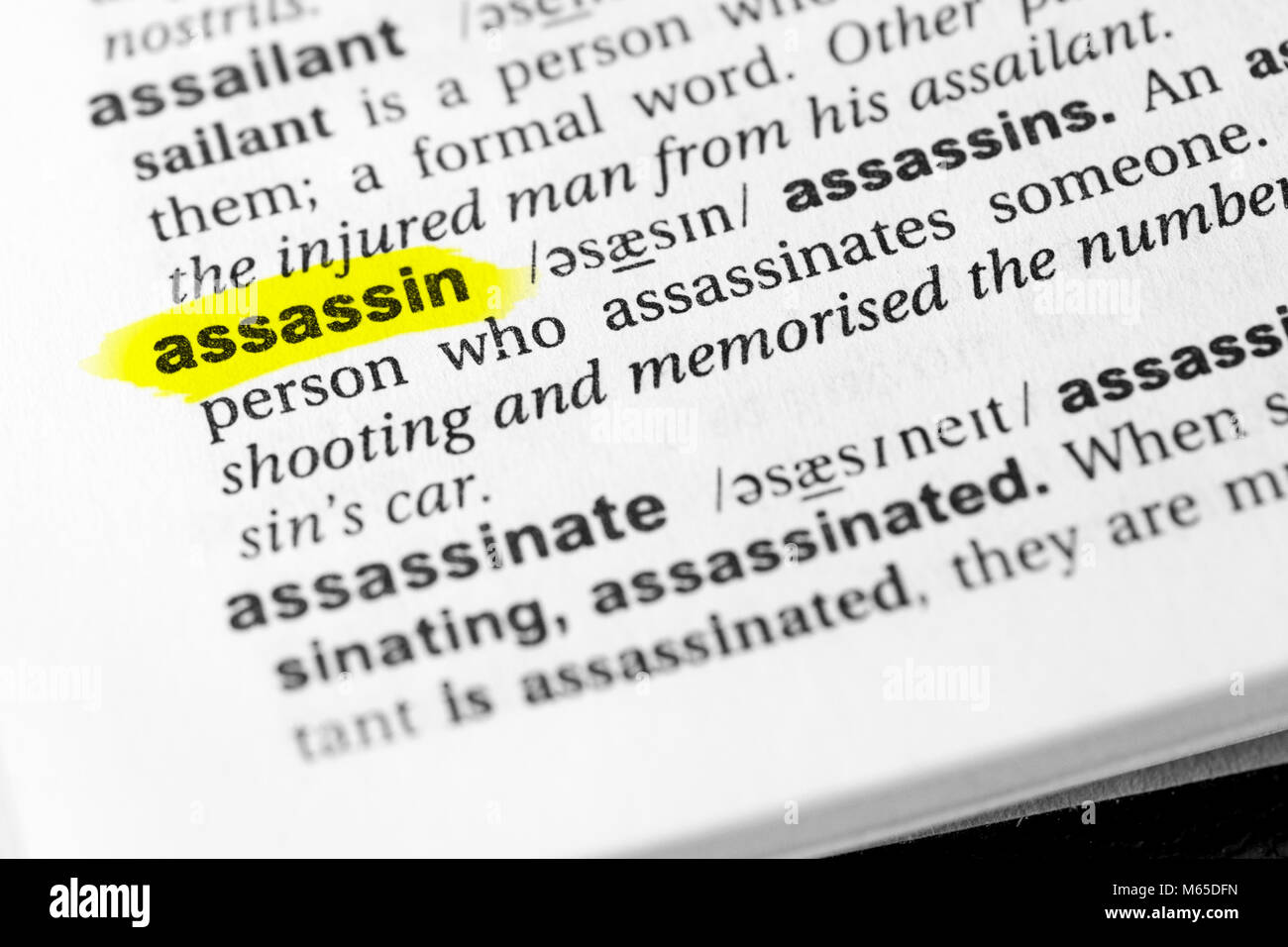 Highlighted English word "assassin" and its definition in the ...