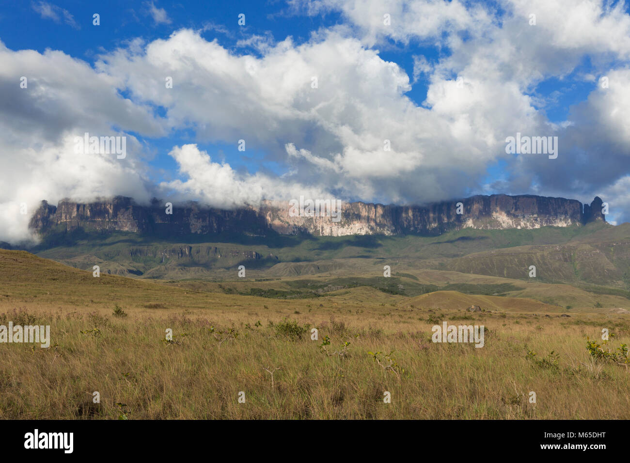 Roraima national forest hi-res stock photography and images - Alamy