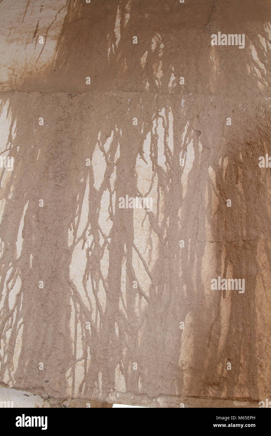 Mud wall Morocco Stock Photo - Alamy