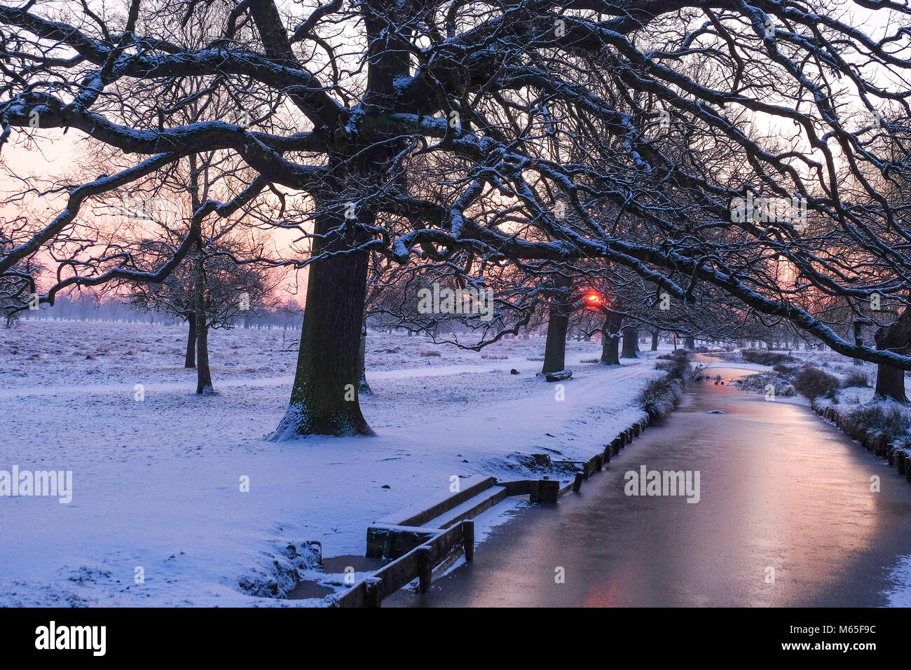 frozen stream in bushy park Stock Photo - Alamy