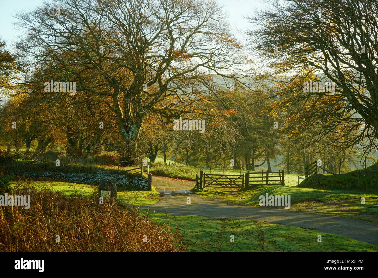 view on exmoor Stock Photo - Alamy