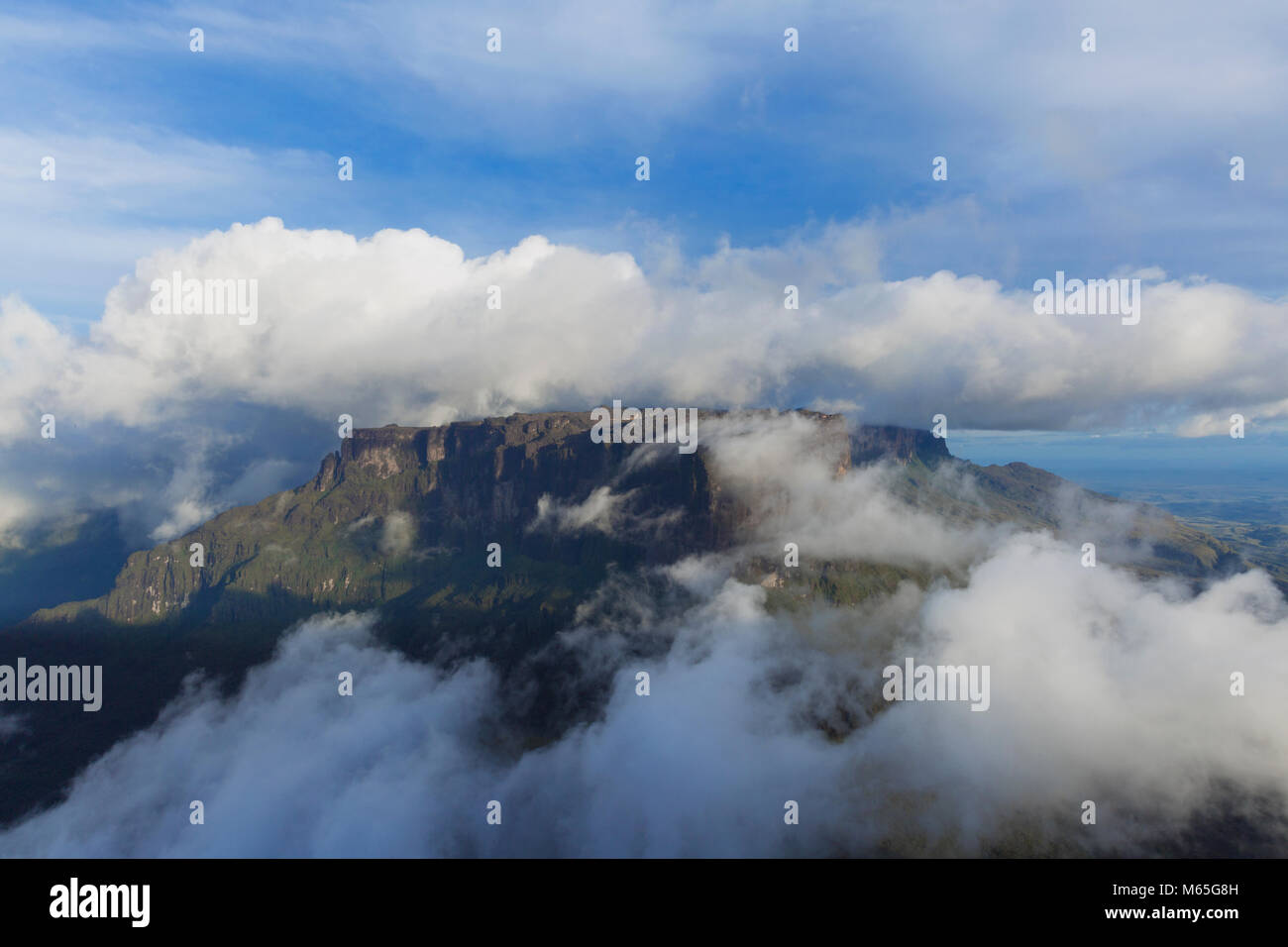 Roraima national forest hi-res stock photography and images - Alamy