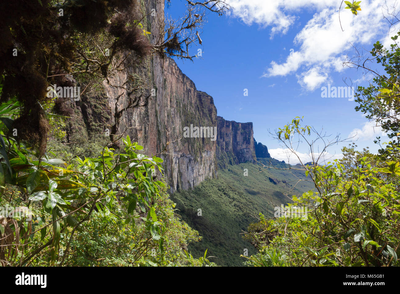Mount Roraima Clouds High Resolution Stock Photography and Images - Alamy