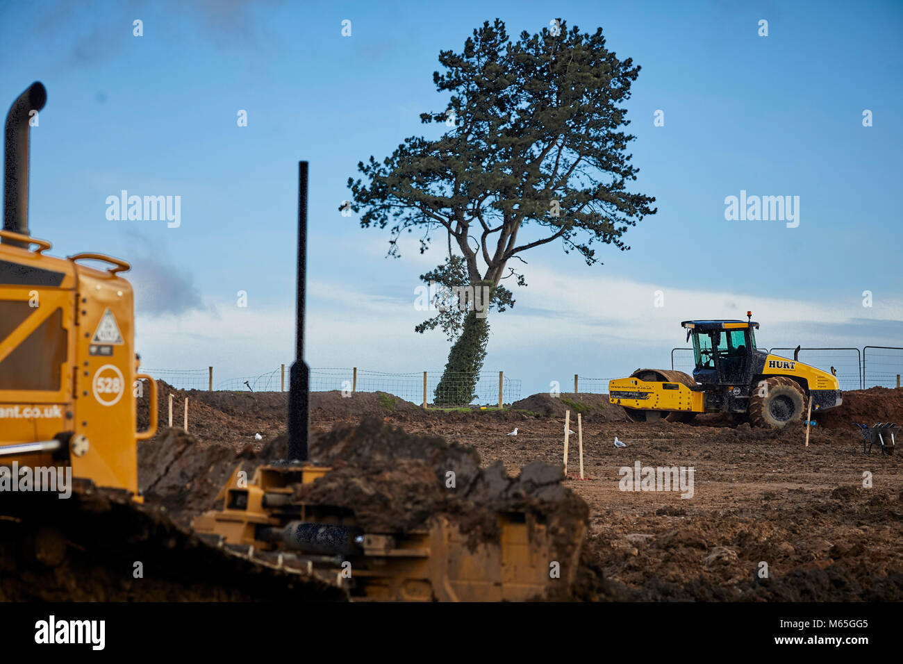 Construction workers try to save a mature tree as they start work on a ...