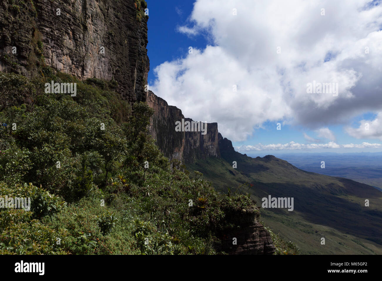 Roraima national forest hi-res stock photography and images - Alamy