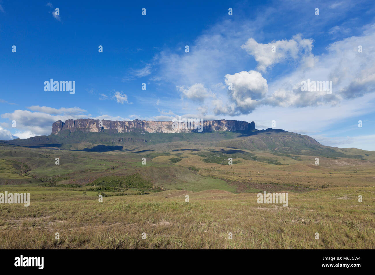 Roraima national forest hi-res stock photography and images - Alamy