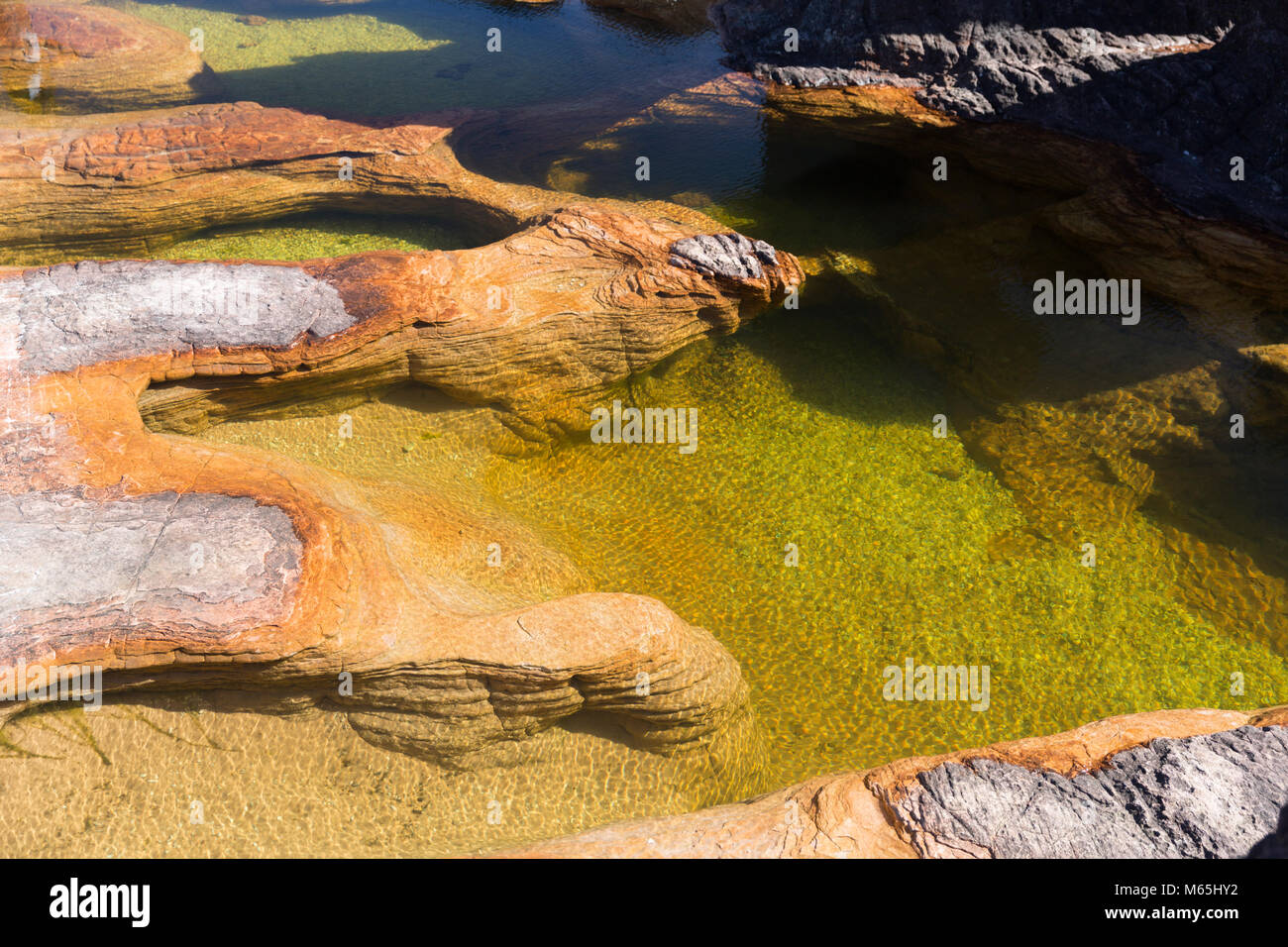 Jacuzzi, little water pools, Mount Roraima, Canaima National Park Stock ...