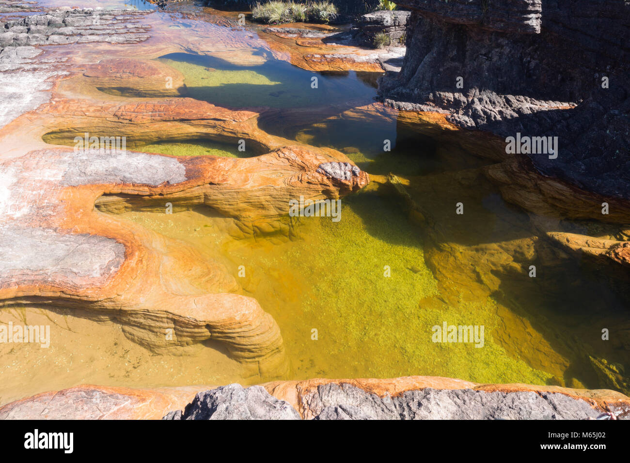 Jacuzzi, little water pools, Mount Roraima, Canaima National Park Stock ...