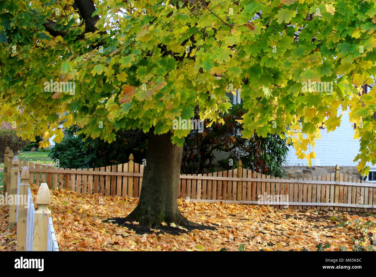 Early autumn in PA Stock Photo - Alamy