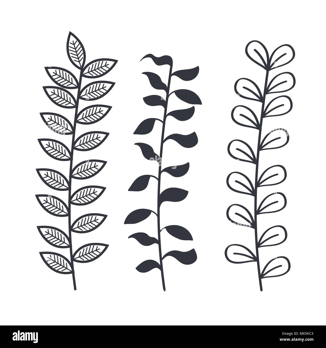 Floral rustic design Stock Vector Image & Art - Alamy
