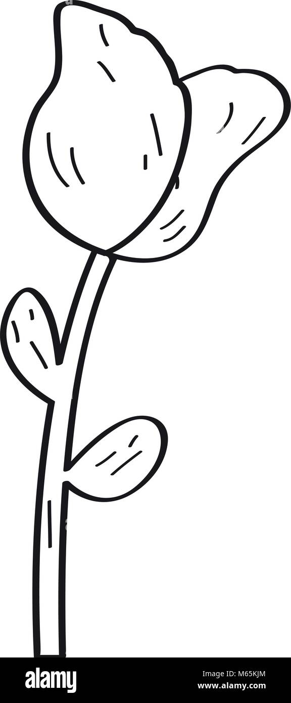 Rose home garden Black and White Stock Photos & Images - Alamy